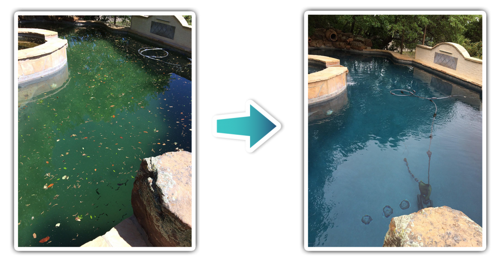 swamp to swim ⋆ The Pool Peeps